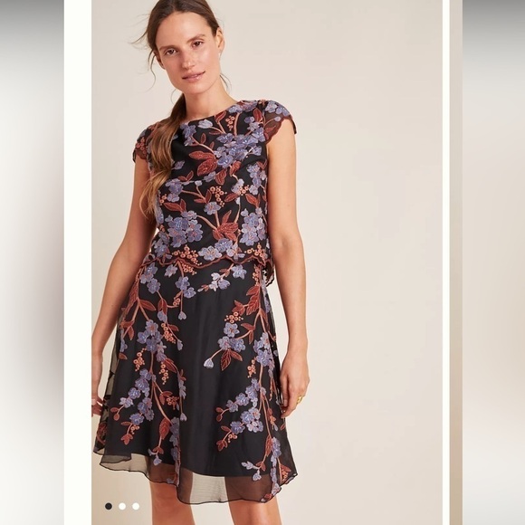 Eva Franco | Dresses | New With Tags Eva Franco Elle Chiffon Mini Dress ...